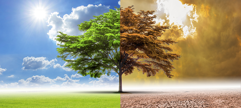 Why Australia needs a Climate and Health Community of Interest ...